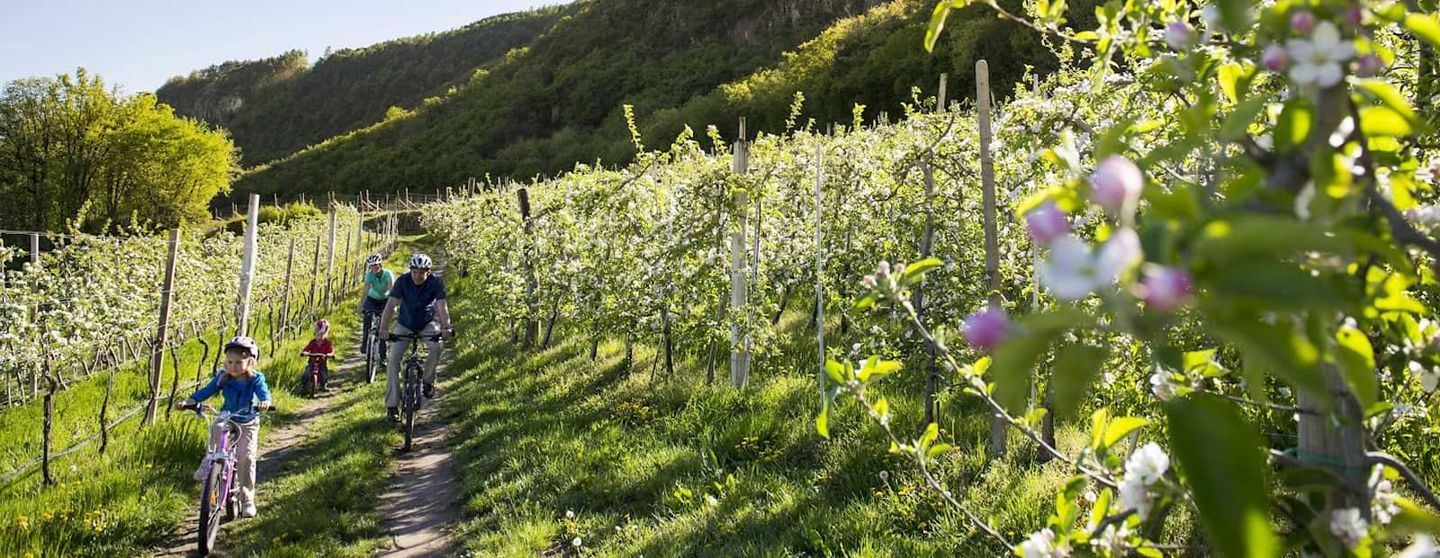 How to Plan a Spring Cycling Holiday | Cycling for Softies