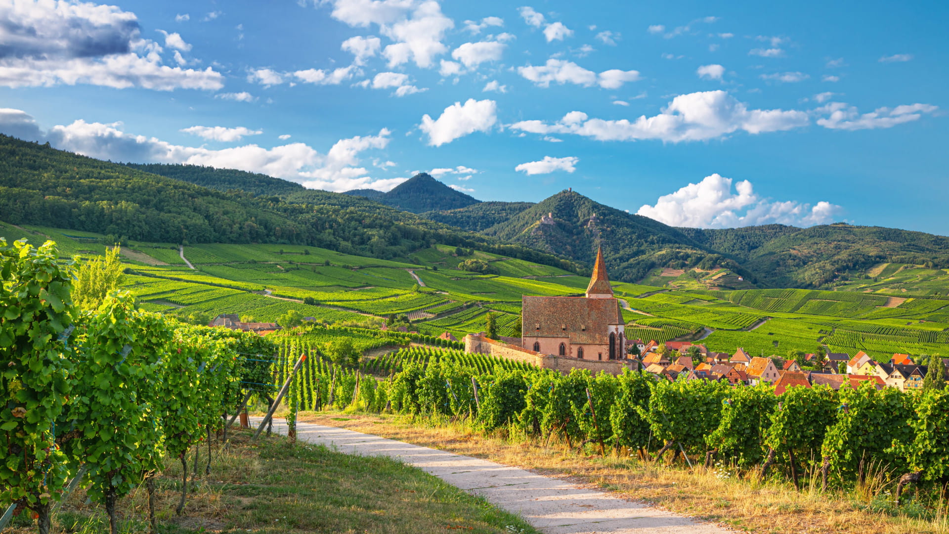Alsace Cycling Holidays & Tours | Alsace Wine Route by Bike | Cycling ...